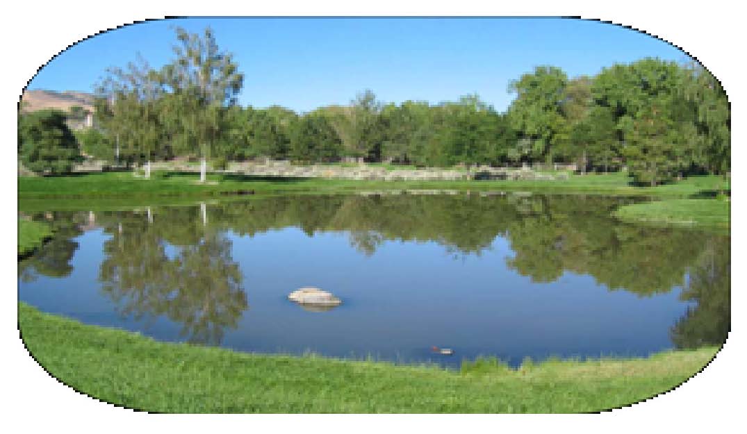 Pond Liming - S&S Home Center